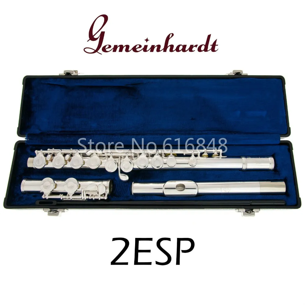 Professional C Tune Flute - Cupronickel Silver Plated, 16 Keys, Closed ...