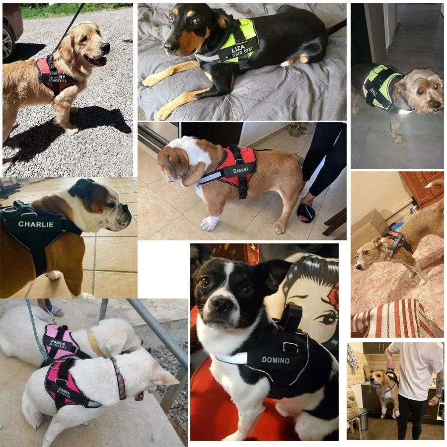 Reflective Dog Harness With Adjustable Straps Personalized Custom Patch ...