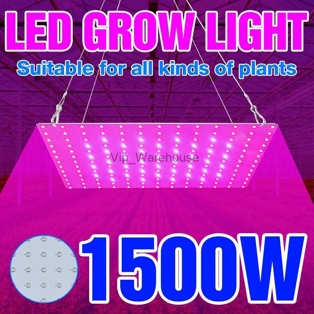 Powerful 1500W Full Spectrum LED Grow Light Quantum Board Ideal For ...