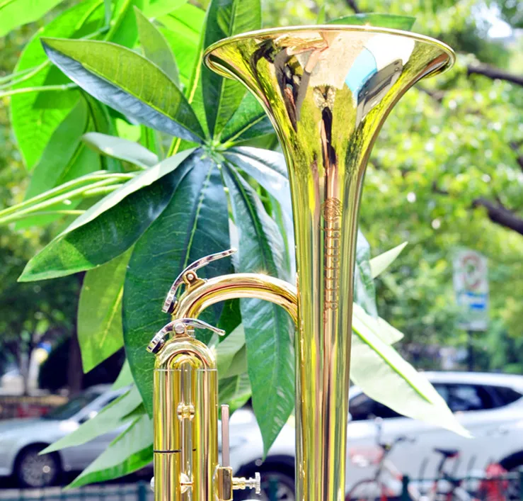 Bb Trumpet - Professional Silver Plated Brass Instrument with Case ...