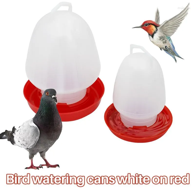 Poultry Waterer 1L - Chick, Pigeon, Quail Feeder, Kettle Design ...