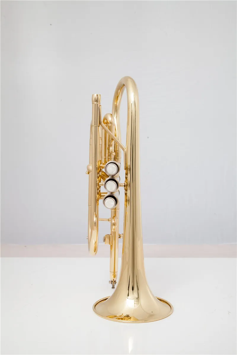 DHgate.com:Golden Bb Cornet Trumpet Brass with Case and Mouthpiece ...