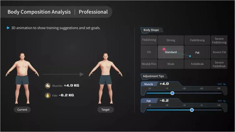 Gym 3D Bodyscan Segmental Body Weight Platform Scale ABS Body ...
