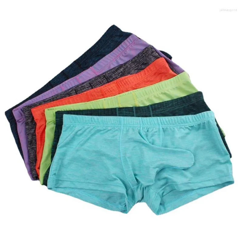 10 Fun Boxers to Add a Splash of Color to Your Wardrobe