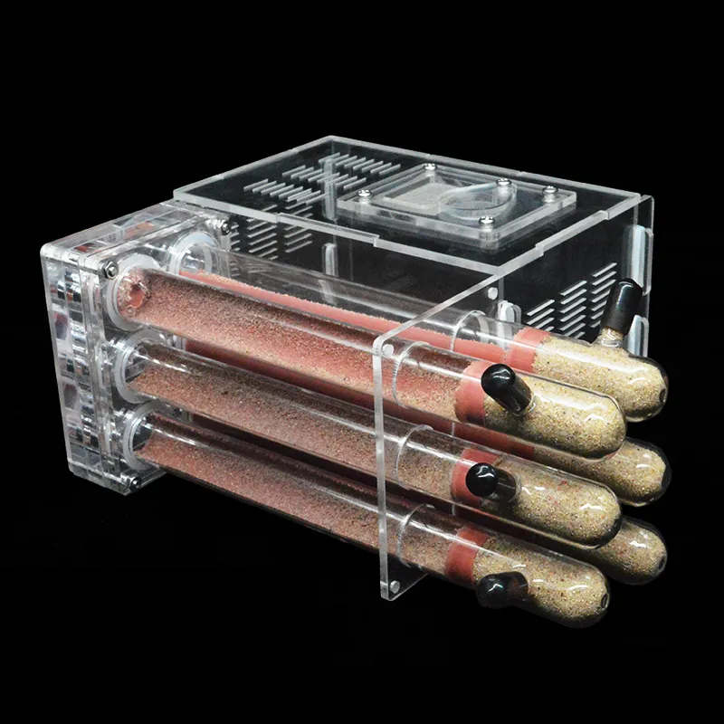 DIY Ant Farm House With Feeding Area, Insect Workshop, Pet Anthill, And ...