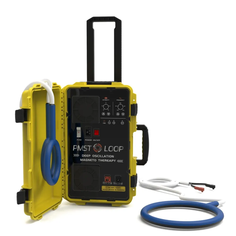 Powerful 6000GS PEMF Machine With Magnawave PMST LOOP, D60CM LOO And ...