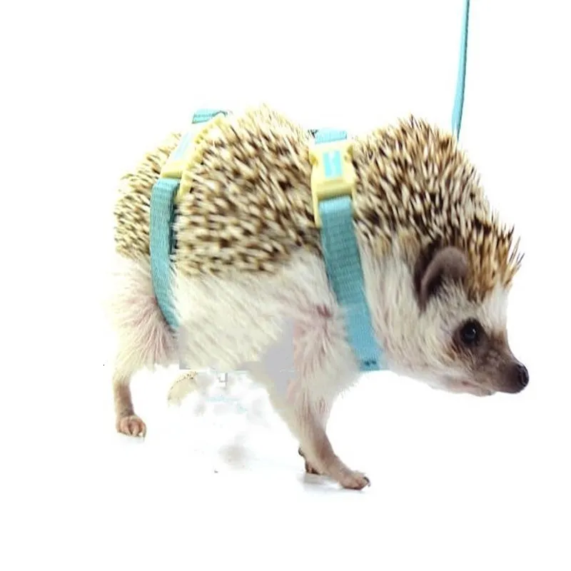 Hedgehog Traction Rope For Small Pets Escape Prevention For Rabbits ...