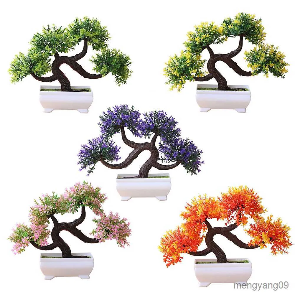 Miniature Bonsai Pot Set - Cute Fruit Plant Pots, Small Plant ...