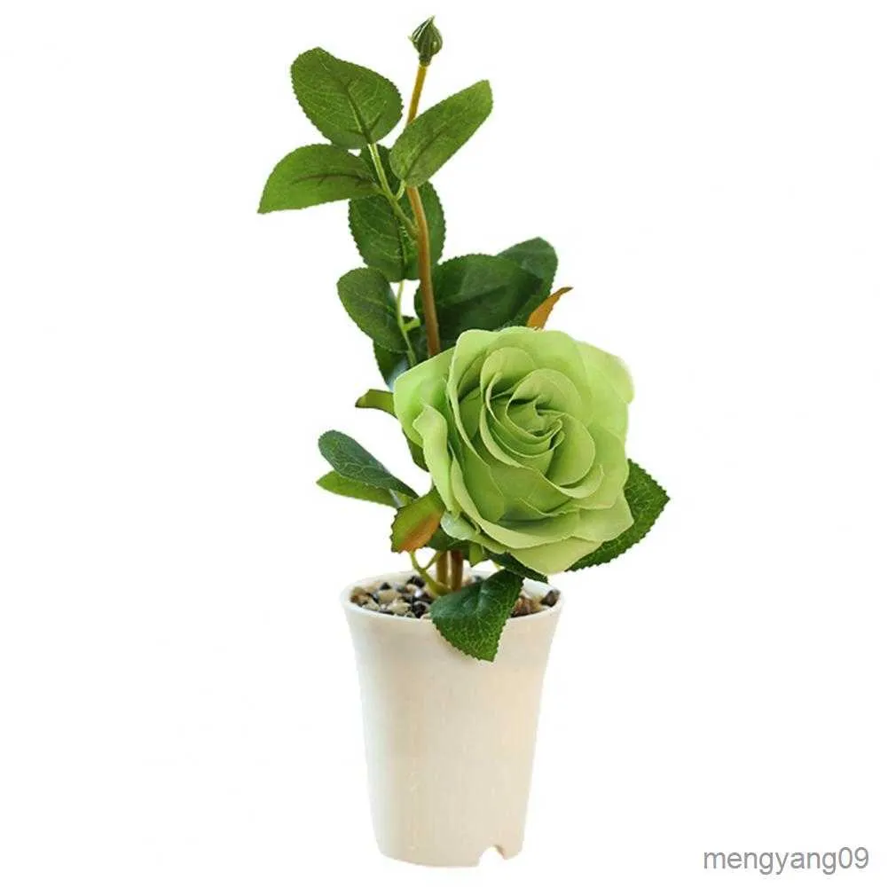 DHgate.com:Planters Pots Mini Tanaman Bunga Bonsai Hidup Tidak Layu ...