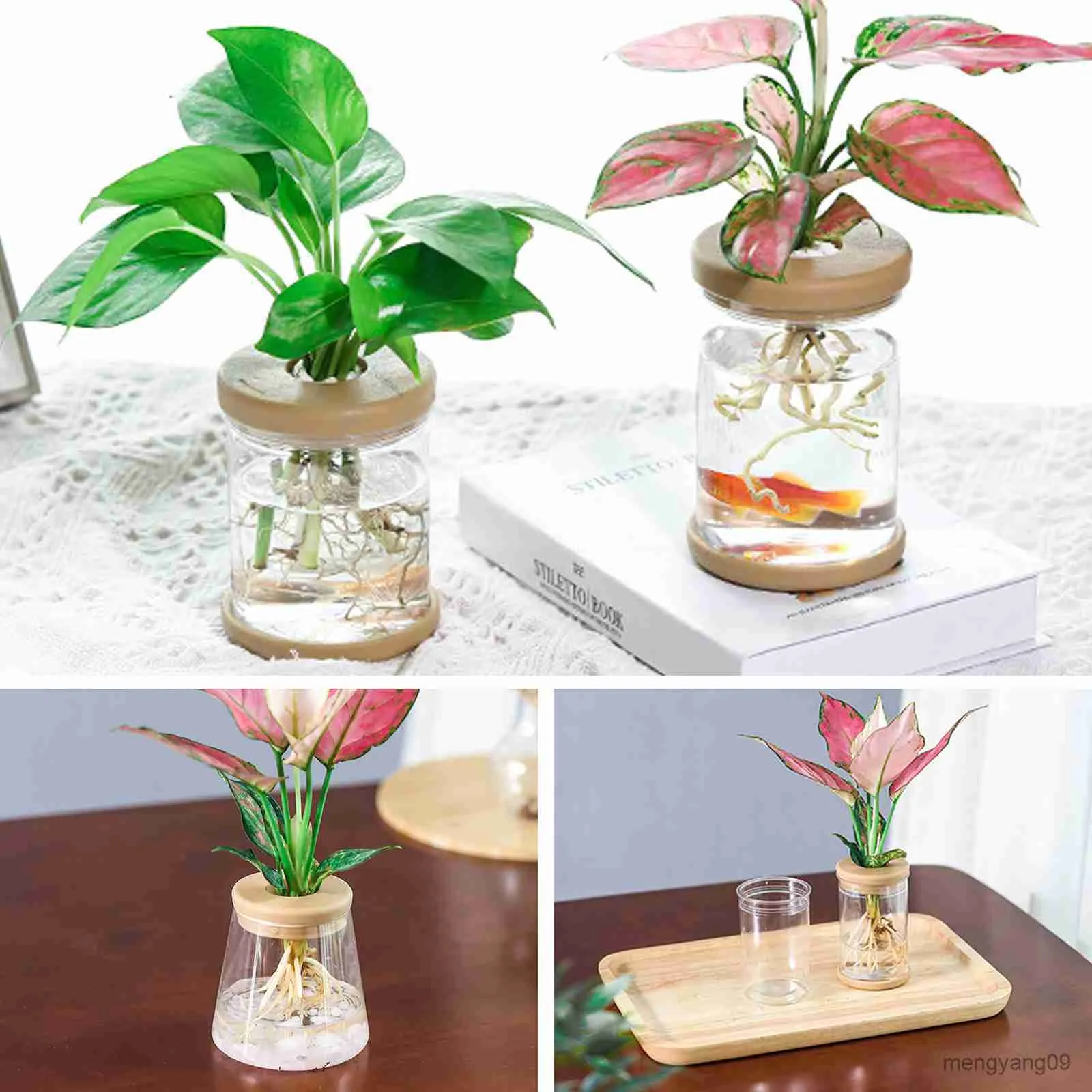 Planters Pots Pot Bunga Hidroponik Transparan Tahan Lama Pot Bunga ...