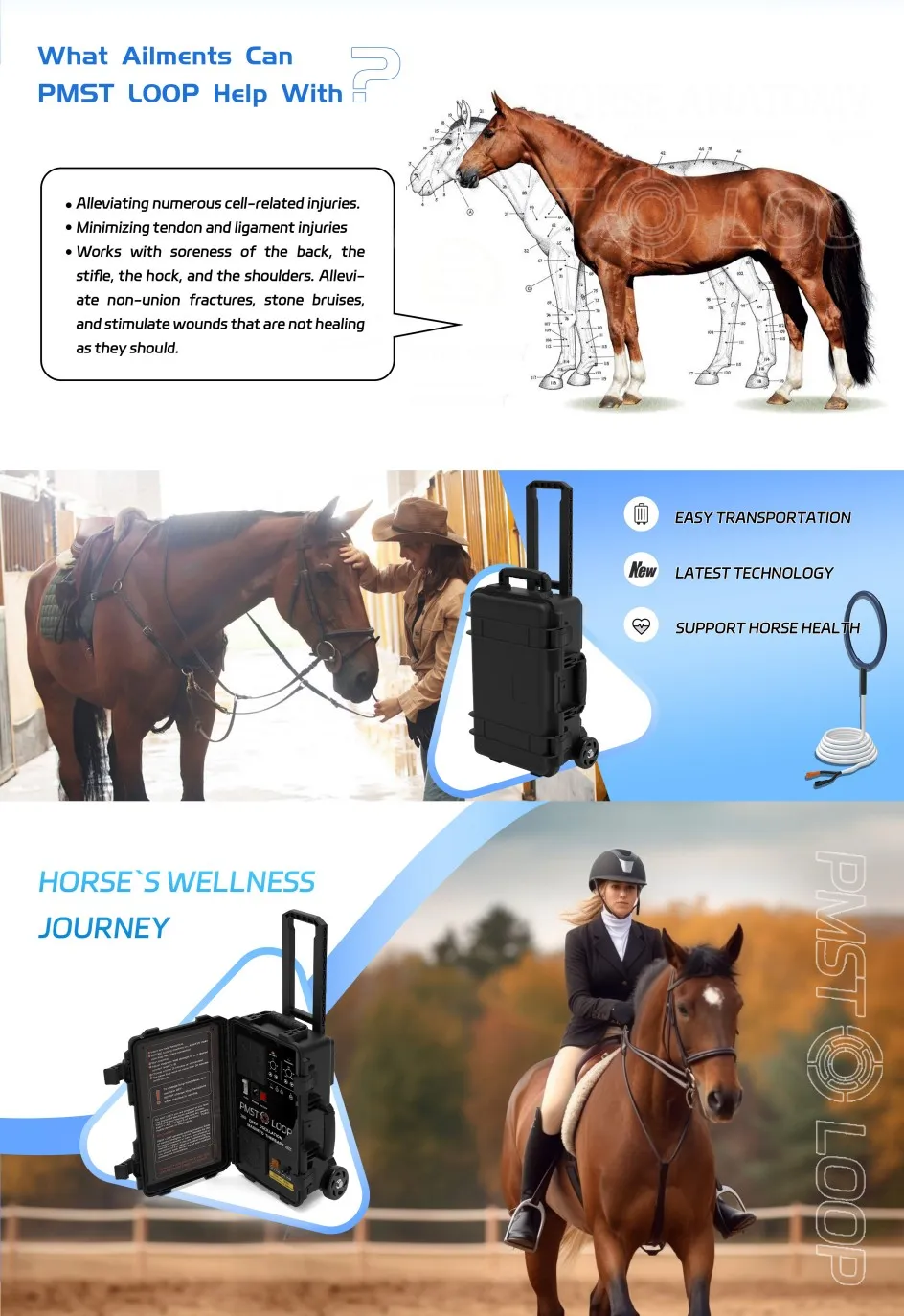 PMST Hay Loop Stand Physio Magneto Therapy Magnawave Device For Horse ...