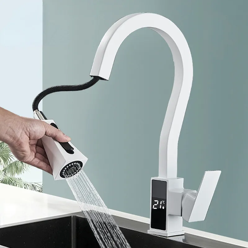 Flexible Dual Water Mode Smart Faucet Kitchen With Digital Temperature ...
