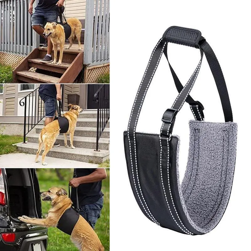 Dog Support Sling Adjustable Lift Foldable Hip Harness: Legs Stand Up ...