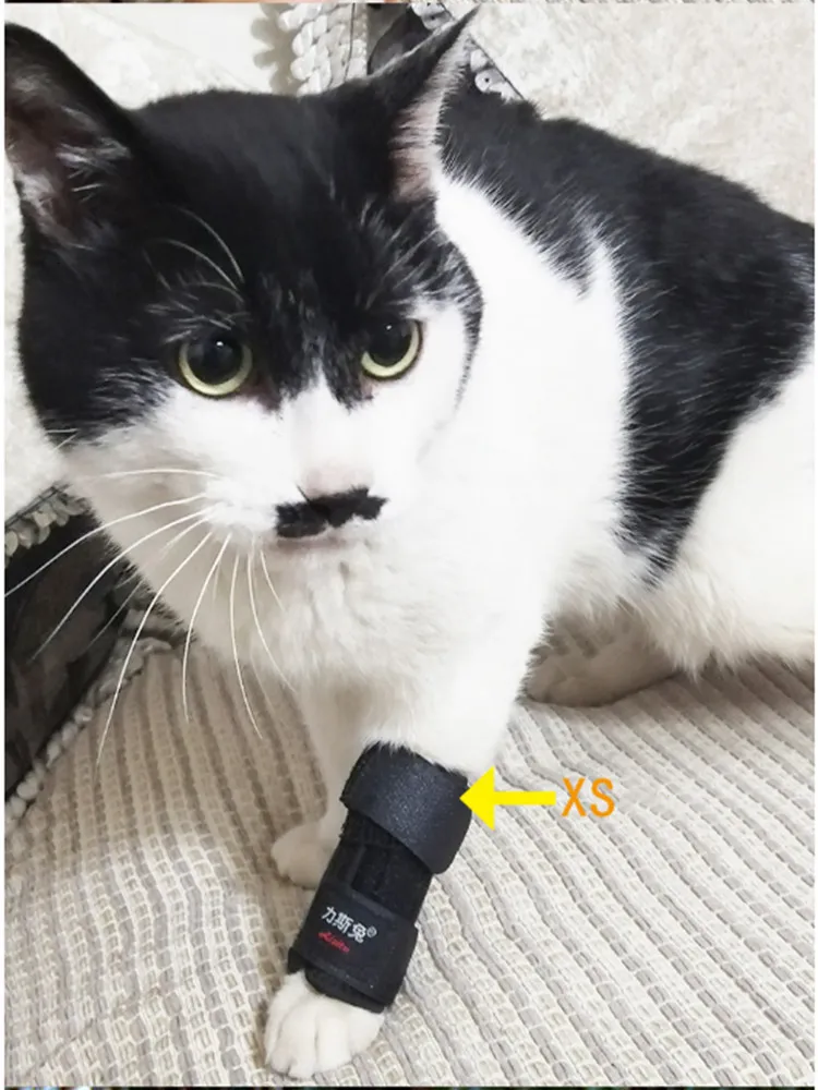 Dog Apparel Fracture Fixation Splints Joint Protection Leg Guards For ...