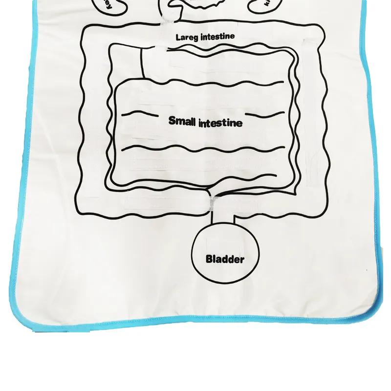 Science Discovery Anatomy Apron Human Body Organs Educational Insights ...
