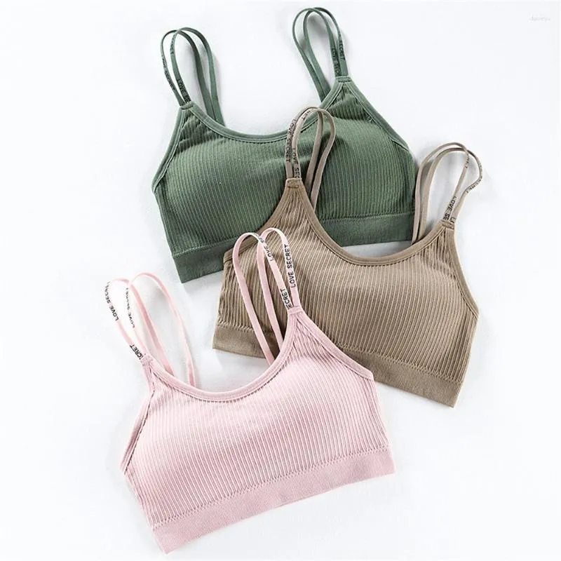 DHgate.com:Womens Double Strap Sports Bra, Solid Wireless Padded Thin ...