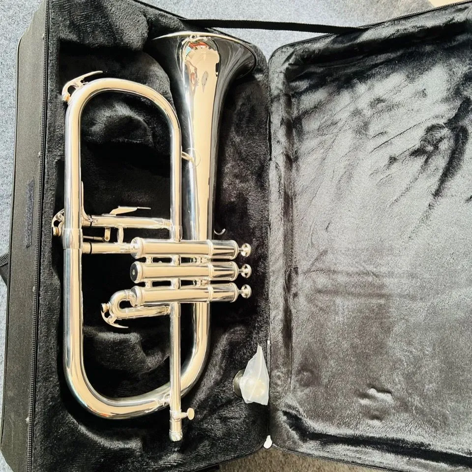 DHgate.com:Professional B-flat Flugelhorn All Silver Jazz Instrument ...