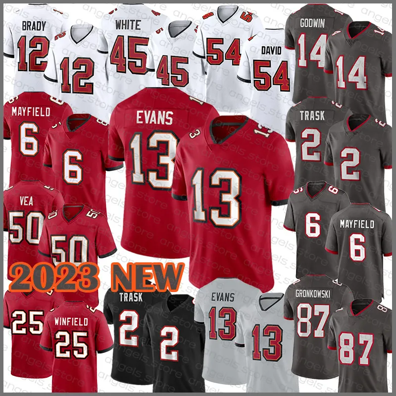 13 Mike Evans Football Jersey 6 Baker Mayfield Vita Vea Tom Brady Devin White Lavonte David ...