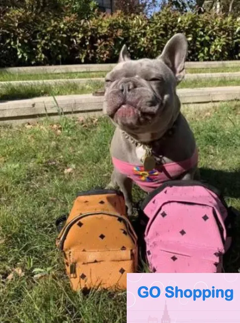 Adjustable Dog Backpack - Fashionable Pet Carrier for Corgis ...