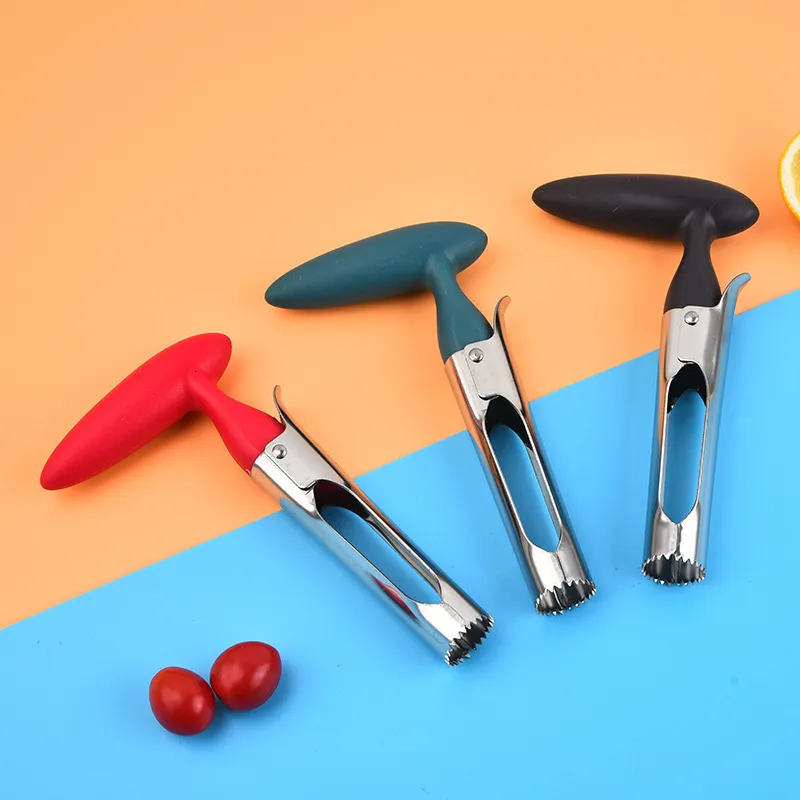 Fruit and Vegetable Tools: Stainless Steel Apple Corer, Pear Corer ...