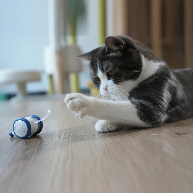 DHgate.com:Cheerble Wicked Mouse: Interactive Cat Toy with Smart Motion ...