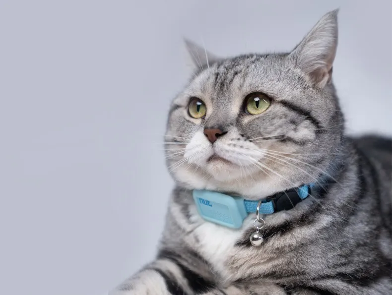 Lightweight Cat GPS Tracker Collar, Anti-lost Pet Positioning Device ...