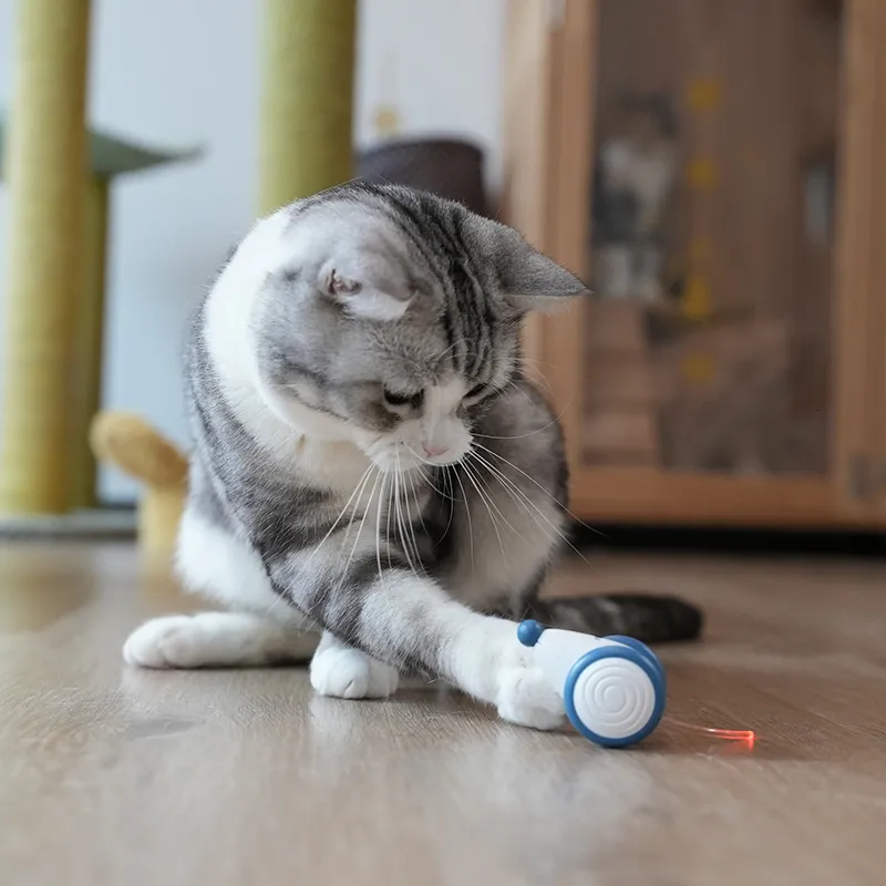 DHgate.com:Cheerble Wicked Mouse: Interactive Cat Toy with Smart Motion ...