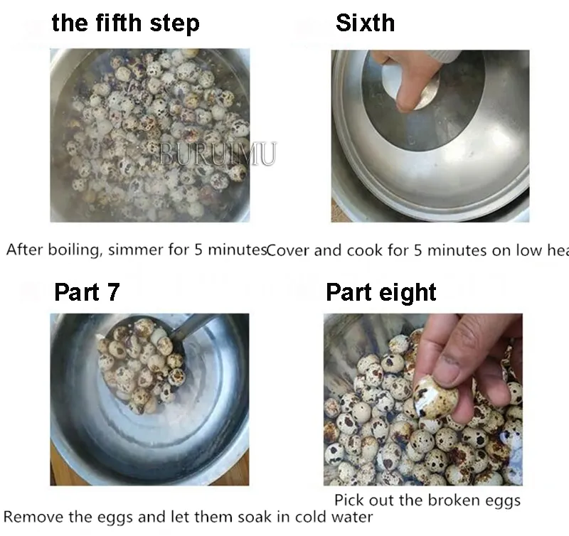 Effortless Egg Peeler - Manual Quail & Chicken Egg Shell Remover ...