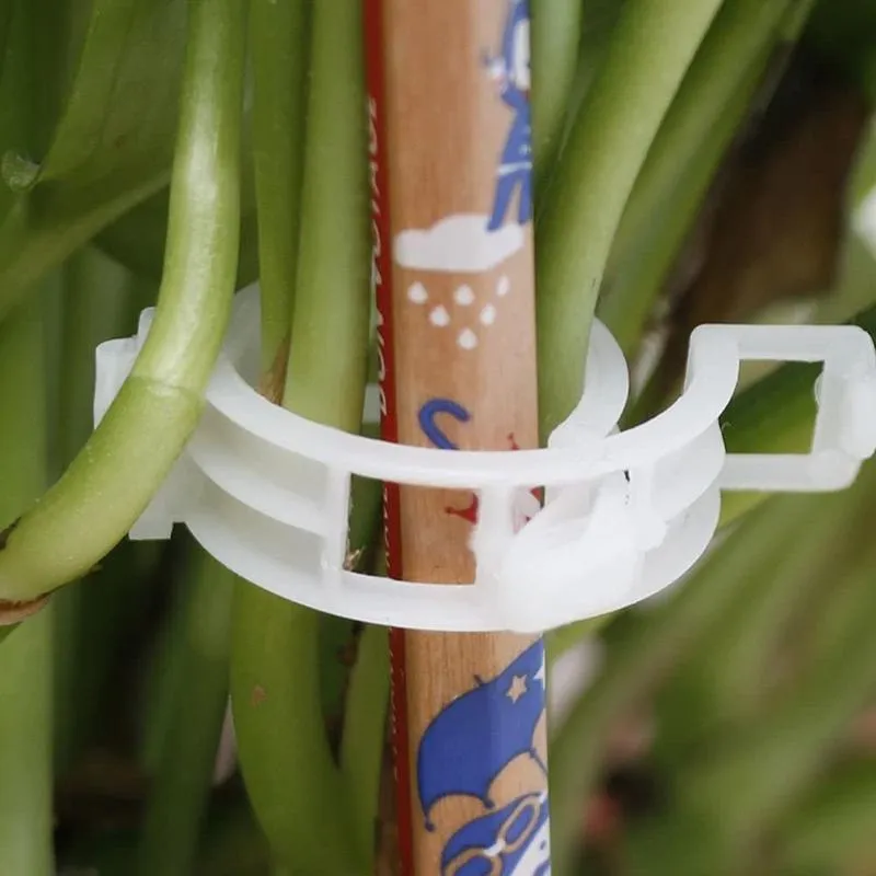 Garden Edging Supplies Other Plant Support Clips Trellis Durable ...