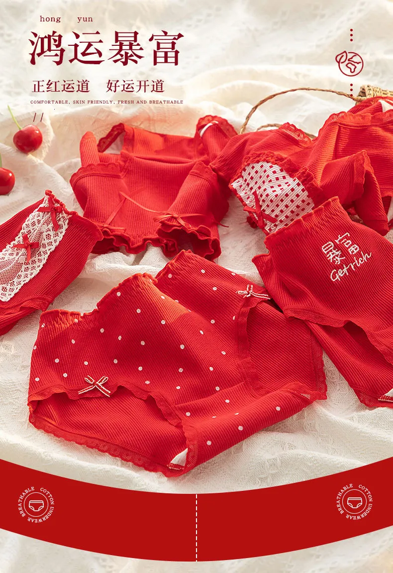 Women s Cotton Mid-Rise Briefs 5-Pack Cartoon Pattern Bow Decoration ...