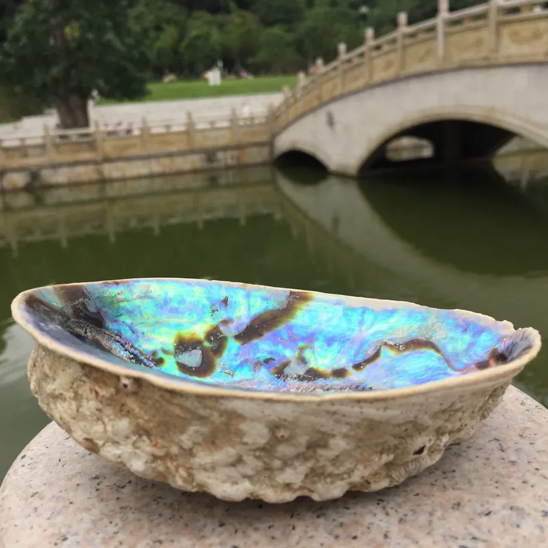 decorating with abalone shells