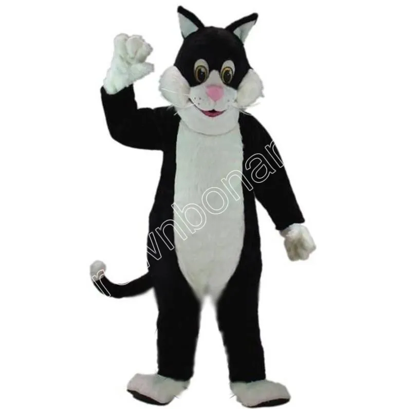Chats En Costumes
