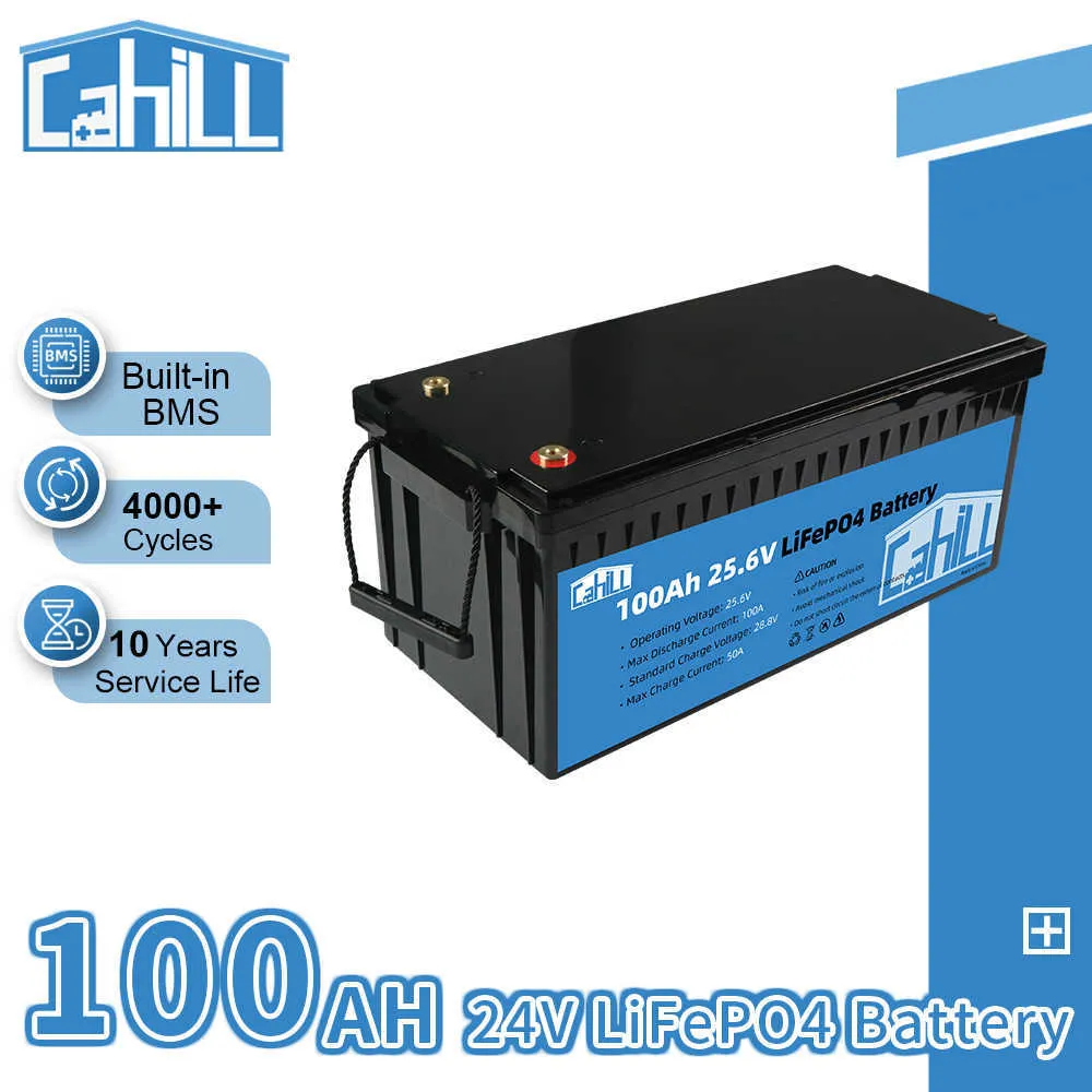 24V 100Ah LiFePO4 Battery Pack - Grade A Cells, Built-in BMS ...