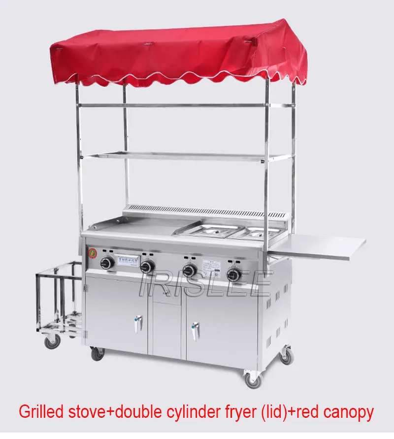 Stainless Steel Multi Function Gas Grill And Butterball Electric Turkey ...