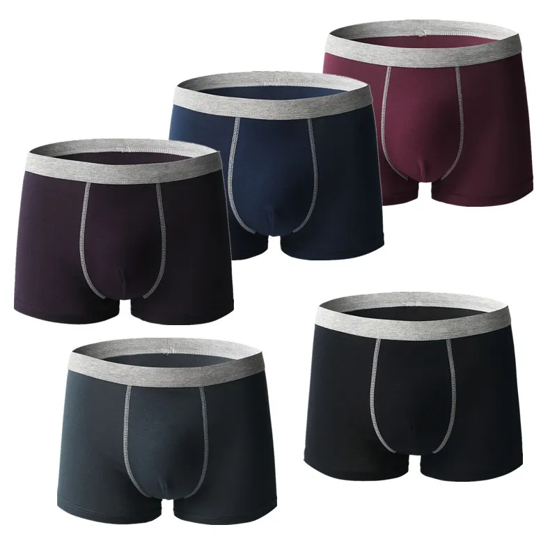 Men's Antibacterial Cotton Boxer Polyester Boxer Briefs Set Of 5 Large ...