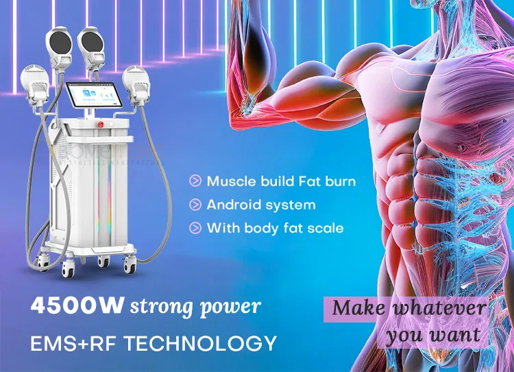 Customizable EMS Em Muscle Machine With FDA Certification, 1 Year ...