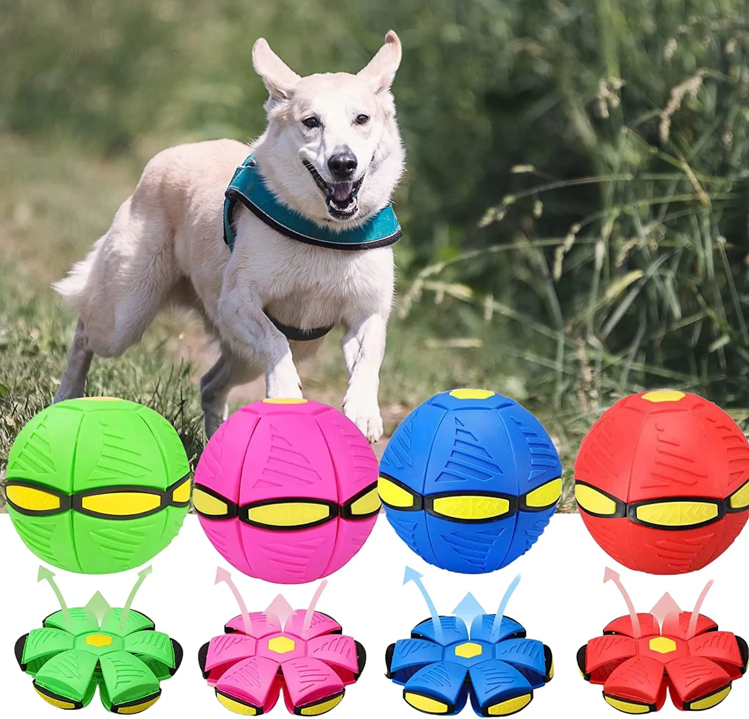 DHgate.com:Product Type Material Color Interactive Flying Disc Dog Toy ...