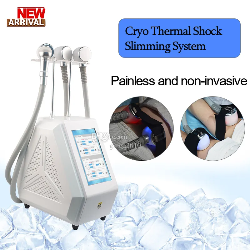 Fat Freeze Machine: Cryo Thermal Paddles For Body Contouring & Slimming ...