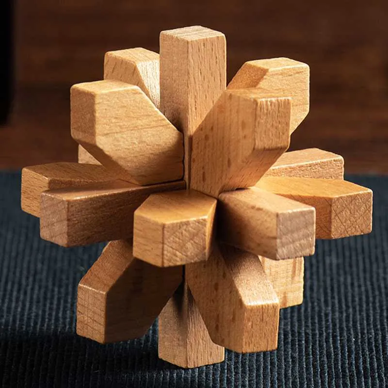 Wooden Brain Teasers Puzzles for Adults and Kids - 6 Pack Interlocking ...