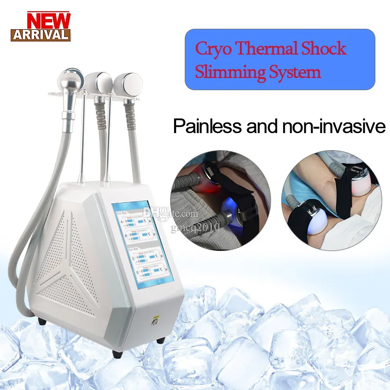 Portable Cryo Slimming Machine Cost With Cryoskin, Thermal & T Shock ...