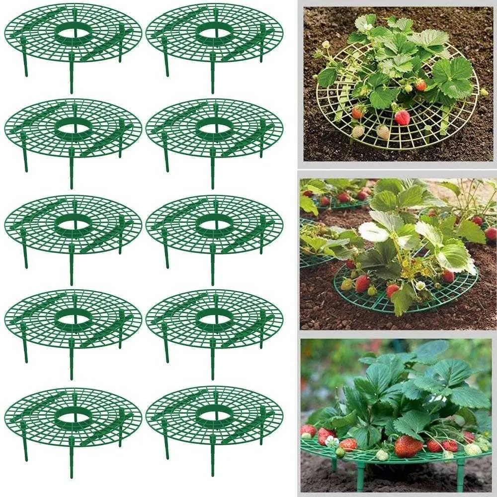 Strawberry Supports 5-20 Pack - Plant Support Rings for Strawberries ...