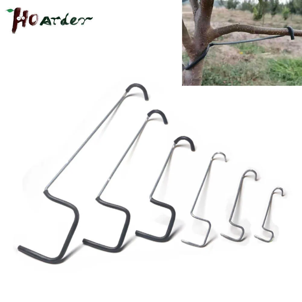Fruit Tree Branches Holder With Support Frame Ringwood Garden Supplies ...