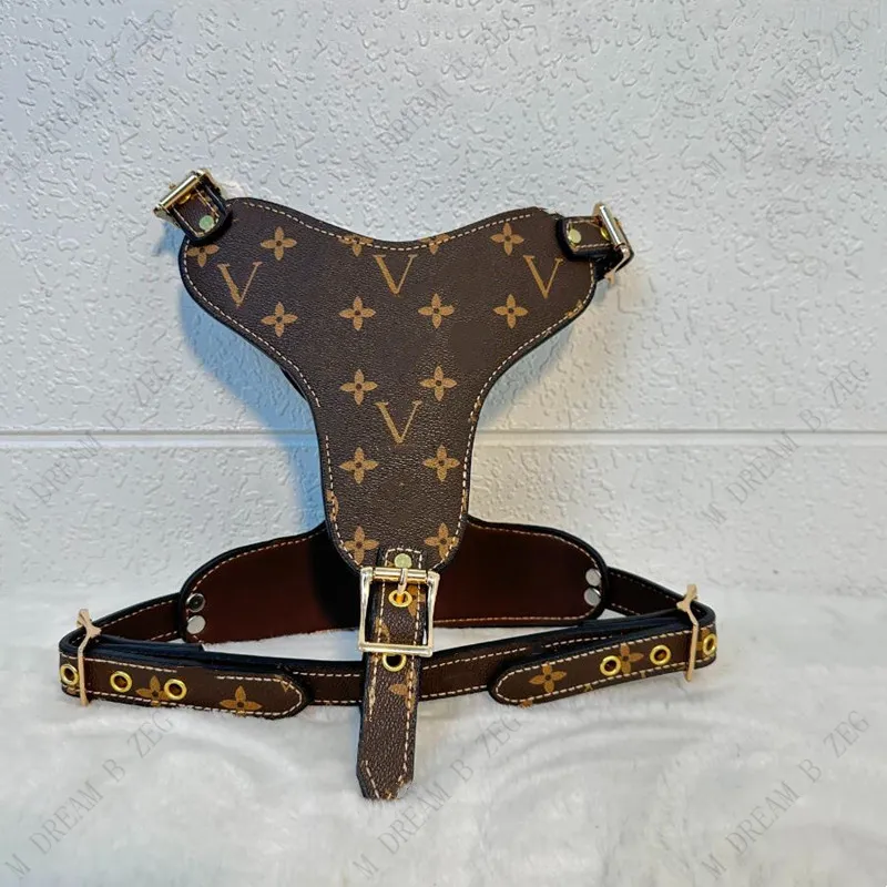 Designer Dog Harness And Leash Set Adjustable PU... From Timelessdream ...