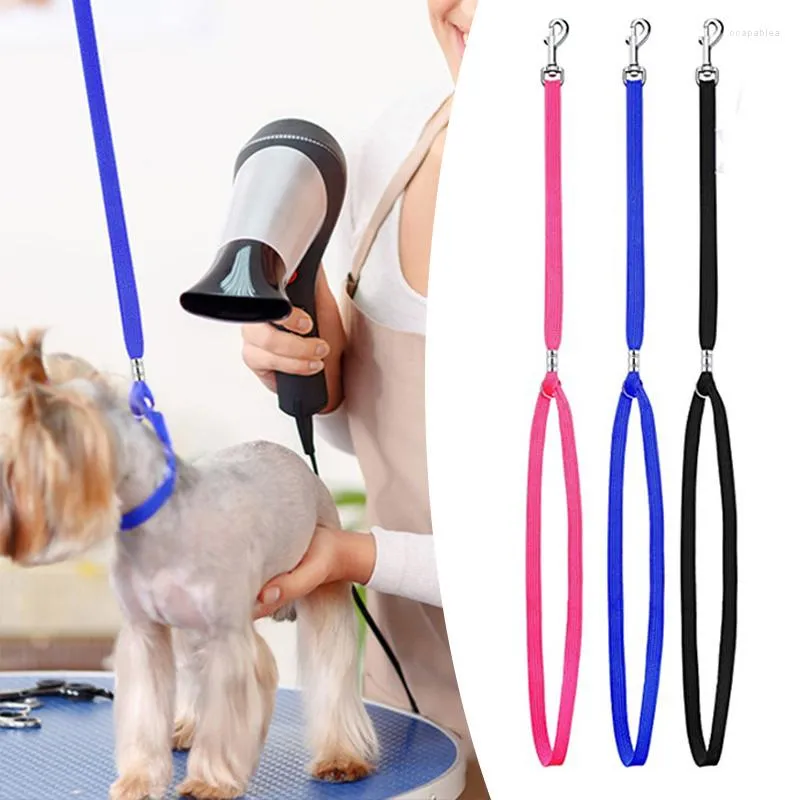 DHgate.com:Adjustable Nylon Dog Collars with Safety Loops and Leash for ...