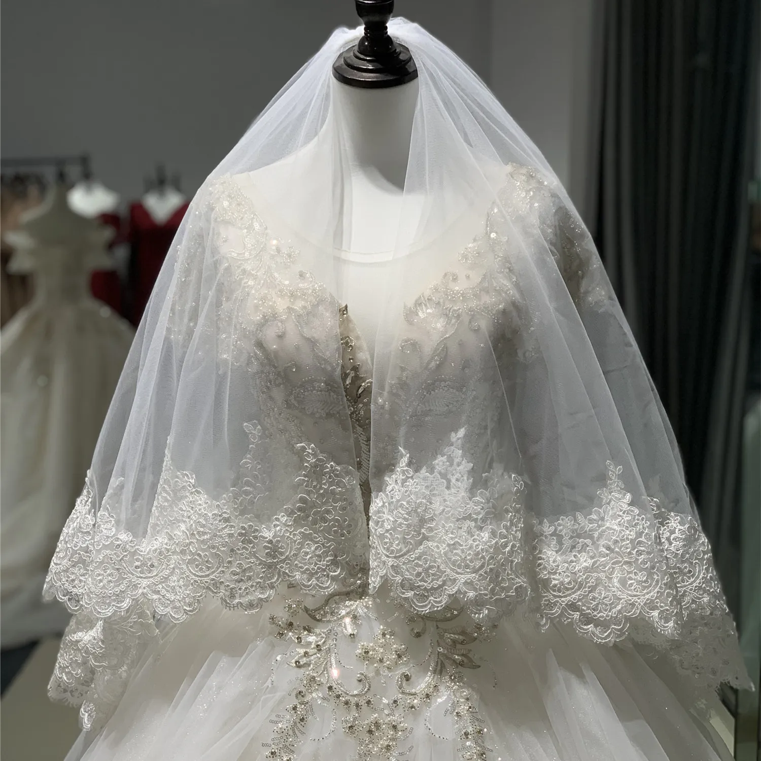 Premium Layered Tulle Wedding Veil with Applique & Sequins - Bridal ...