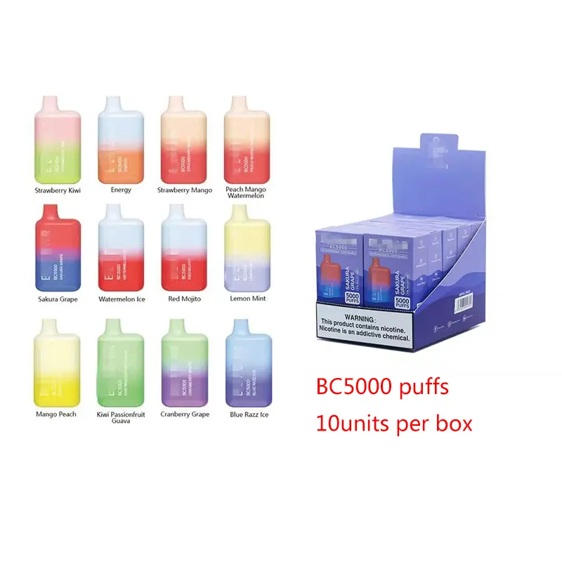 High Quality BC5000 Disposable Vapes 5k 5000 Puffs E Cigarettes Kits ...