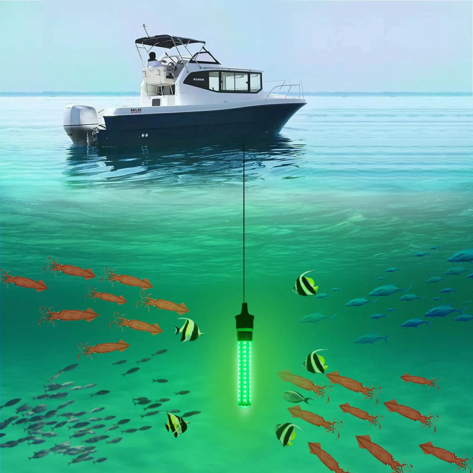 Submersible Fishing Lights