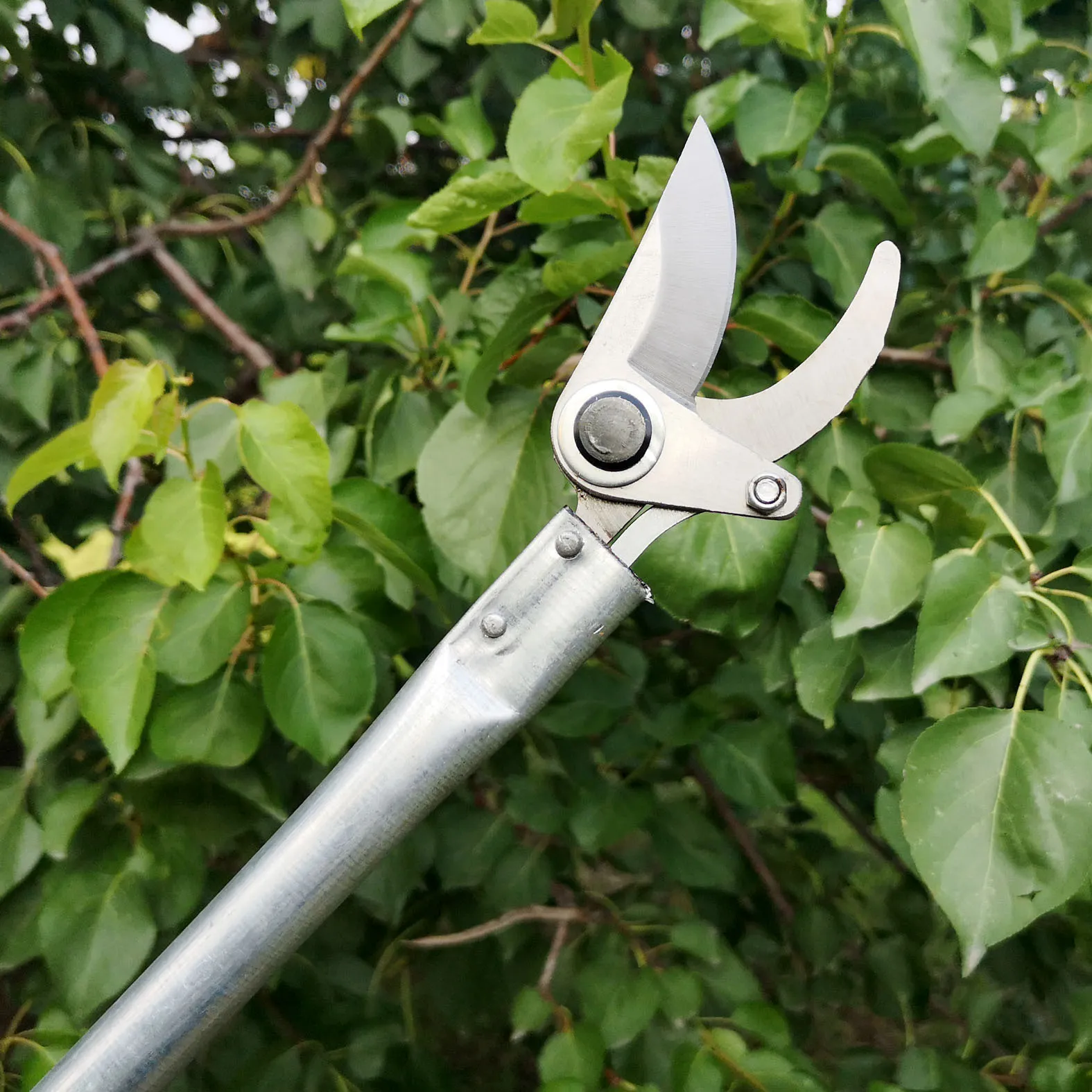Extendable garden pruners store