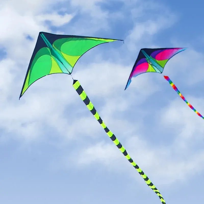 Cool Delta Kite