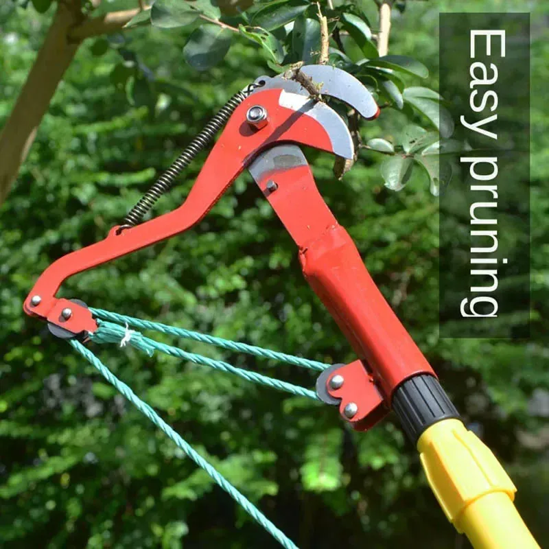 Gardening Scissors Tree Branch Cutter: Telescopic Fruit Picker For High ...
